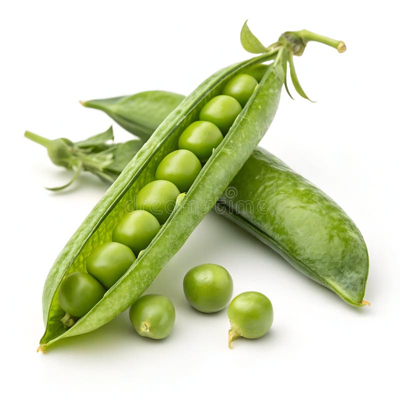 Fresh Peas â€ Natural Pea Pod Isolated Stock Illustration ...