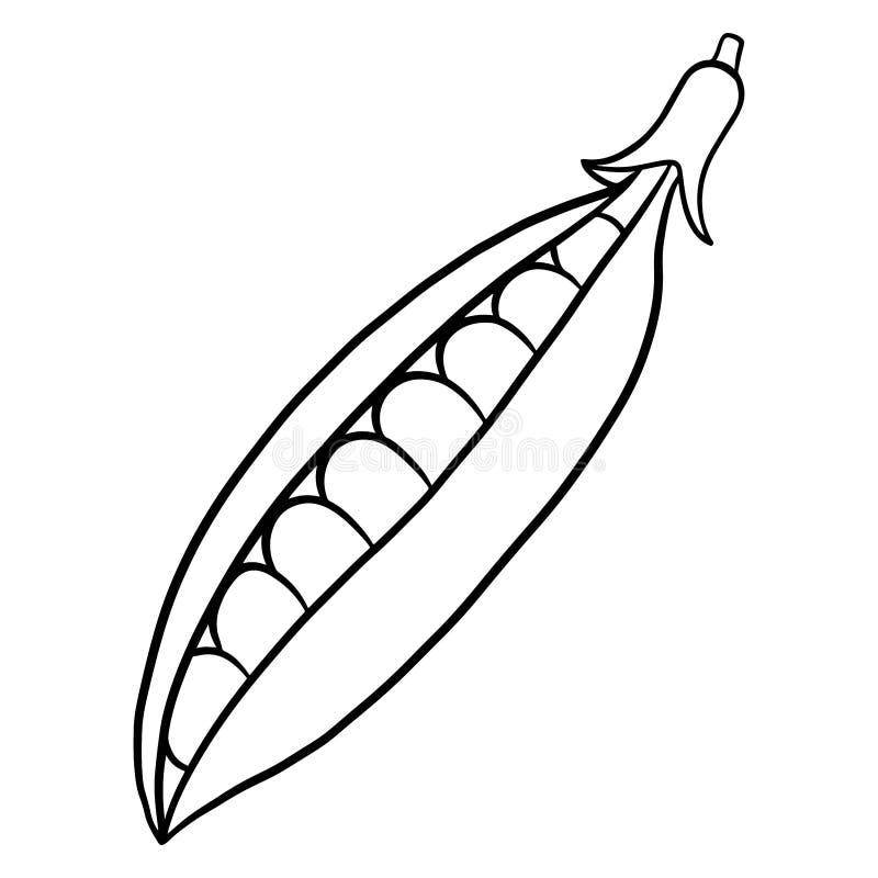 Fresh Peas. Vegetable Ingredient for the Kitchen. Silhouette Stock ...