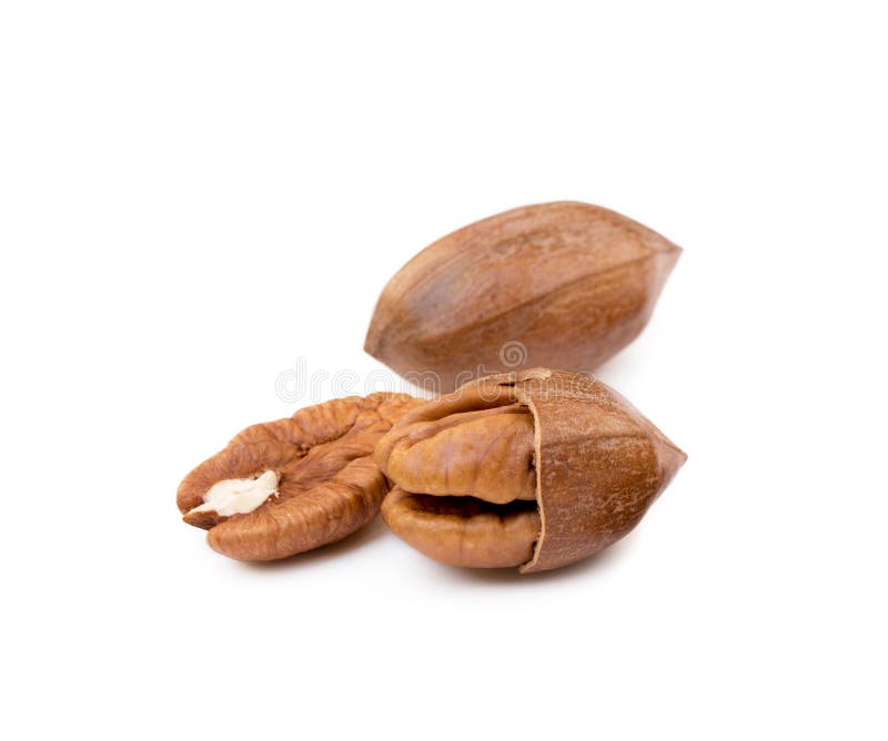 Fresh pecan nuts stock photo. Image of delicious, nuts - 153392112