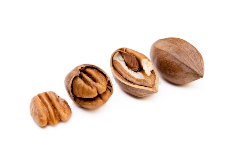 Fresh pecan nuts stock photo. Image of peeled, organic - 153392144