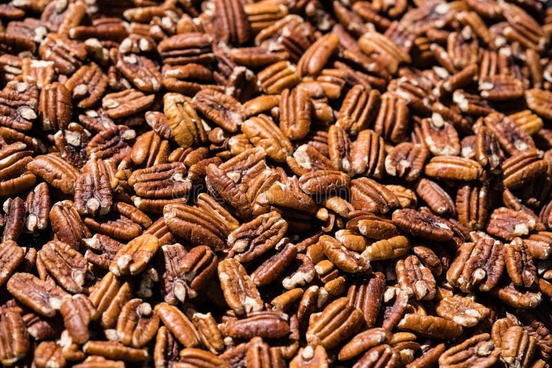 Brown pecan nuts stock image. Image of fresh, food, hazelnuts - 233603809