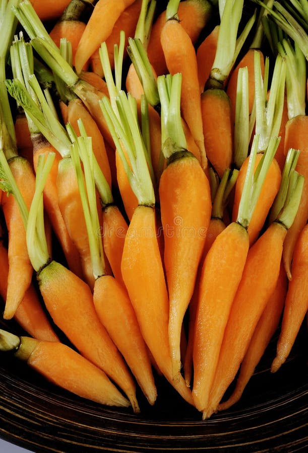 Fresh peeled baby carrots stock image. Image of agricultural - 44497799 Fresh peeled baby carrots stock image. Image of agricultural - 44497799