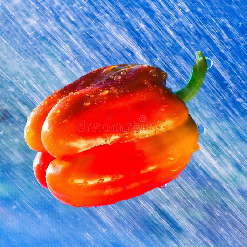 Fresh pepper stock photo. Image of abstract, vegetable - 26361038