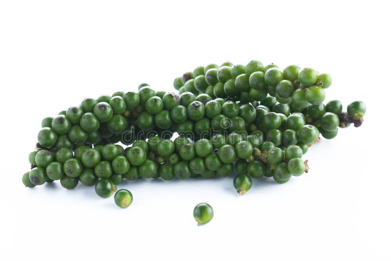 Fresh pepper on white stock photo. Image of green, healthy - 109870450