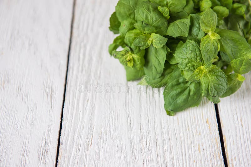 Fresh peppermint on wood stock image. Image of fragrant - 69859049