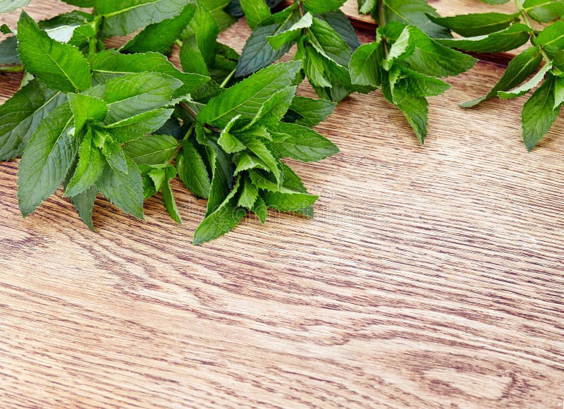Fresh Peppermint on Wooden Table Stock Image - Image of fragrant, color ...