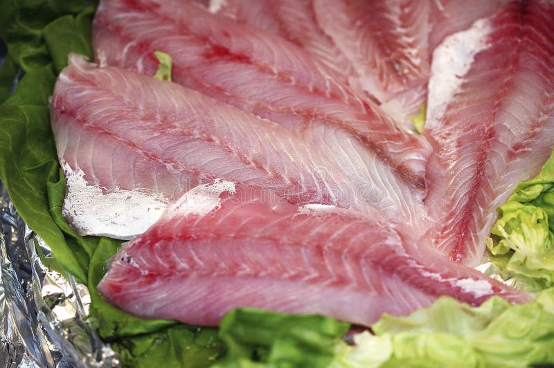 Fresh Perch Fillet at Fish Shop Stock Image - Image of wildlife, indoor ...