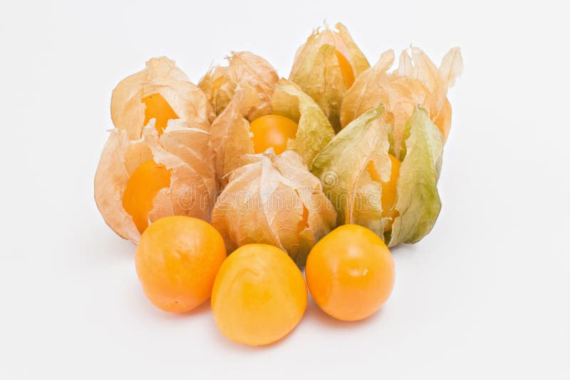 Fresh physalis fruit stock image. Image of exotic, ground - 51718491