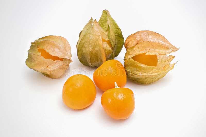 Fresh physalis fruit stock image. Image of isolated, fresh - 51718513