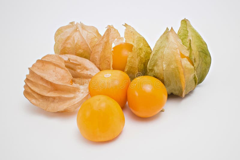 Fresh physalis fruit stock image. Image of cherry, cape - 51718533