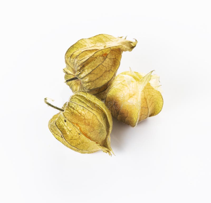 Fresh Physalis Fruit Isolated on a White Background Stock Photo - Image ...