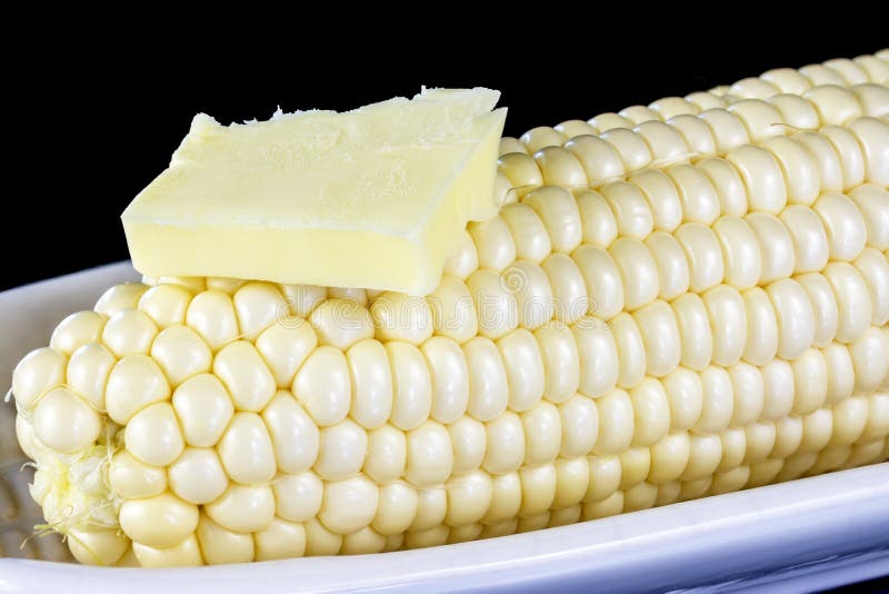 Fresh Picked Ear of Corn Ready To Serve Stock Photo - Image of ...