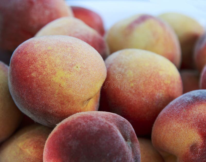 Fresh Picked Fuzzy Peaches Gathered on a Table Stock Image - Image of ...