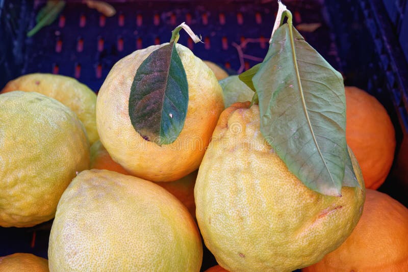 Fresh Picked Lemons with a Bumpy Texture Stock Image - Image of ripe ...