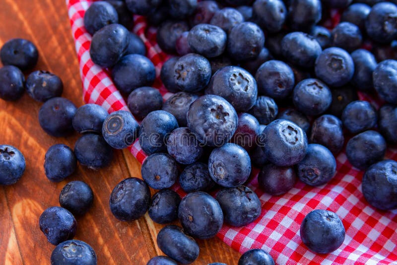 Rotten Food : Mouldy Blueberry Fruit Stock Photo - Image of bacteria ...