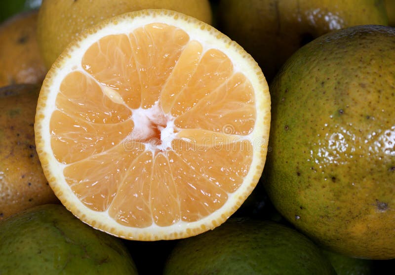 Fresh Pieces of Citrus Fruits Stock Image - Image of refreshing, exotic ...