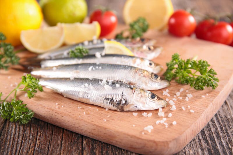 Fresh pilchard stock image. Image of freshness, fresh - 50420273