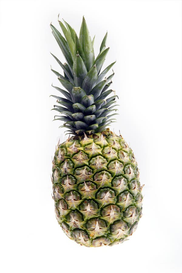 Fresh pineapple. stock image. Image of leafs, isolated - 11273249