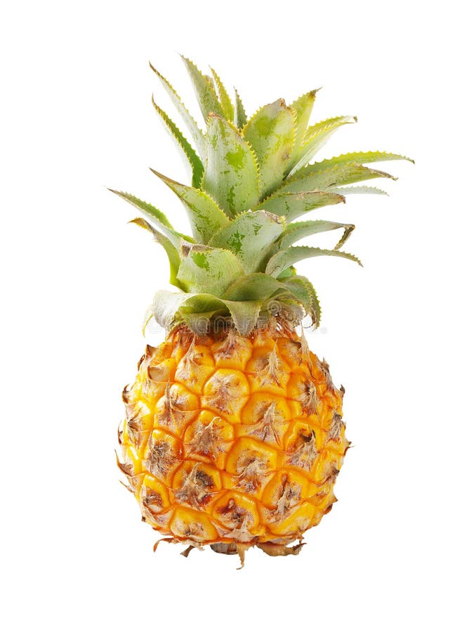 Fresh pineapple stock image. Image of isolated, pineapple - 29357265