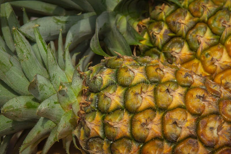 Pineapple close-up picture stock photo. Image of healthy - 136552636