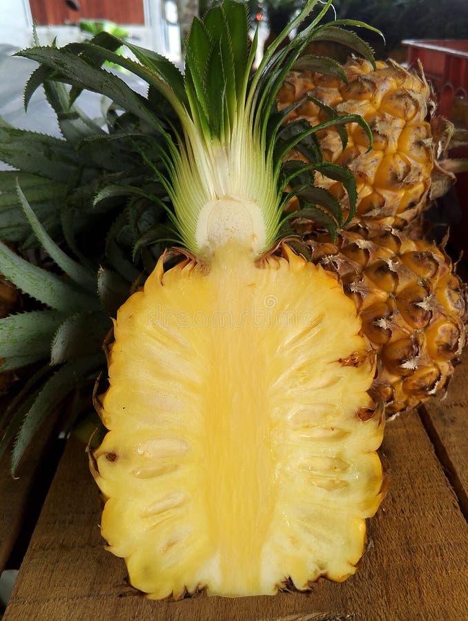 A Fresh Pineapple Cut in Half Stock Image - Image of surfacesliced ...