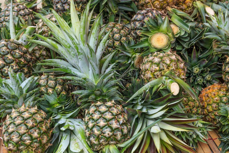 Fresh pineapple stock image. Image of fruit, cooking - 76889305