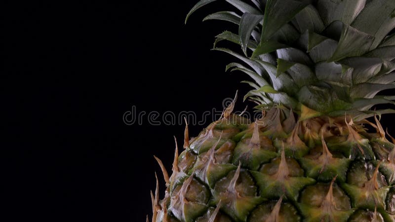 Fresh Pineapple Spinning on Black Background Stock Video - Video of ...