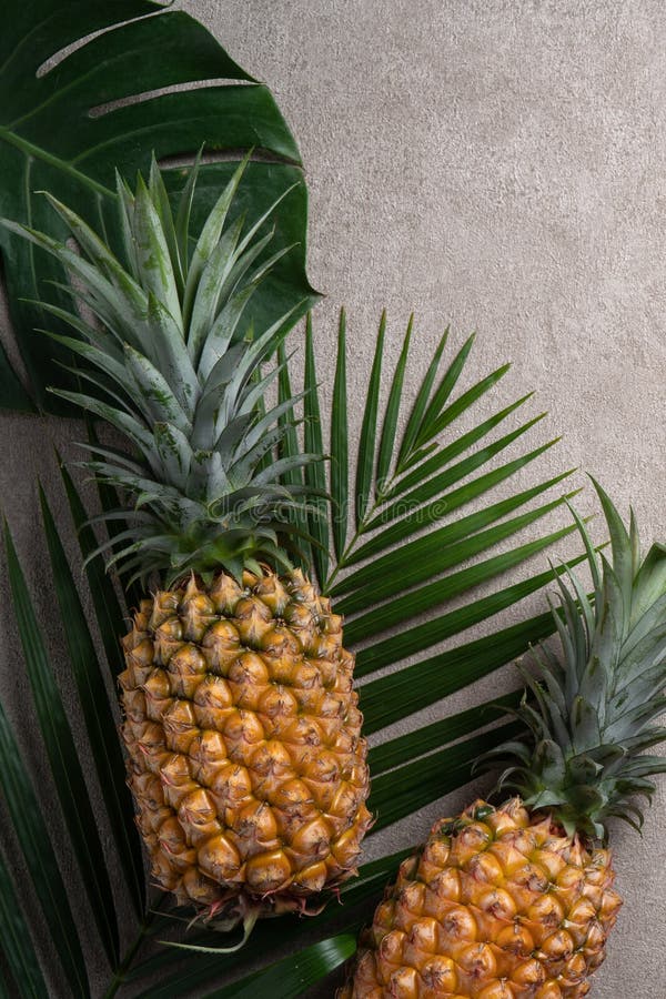 Fresh Pineapple with Tropical Leaves on Gray Background Stock Image ...