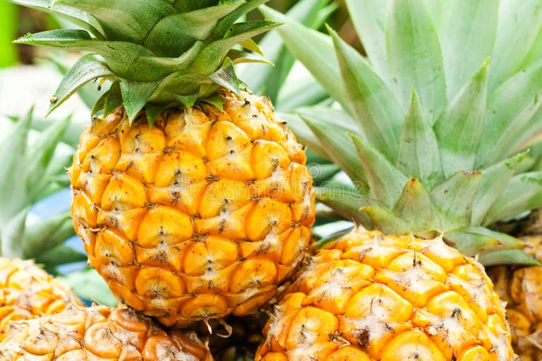 Fresh pineapples stock image. Image of organic, orange - 26471399