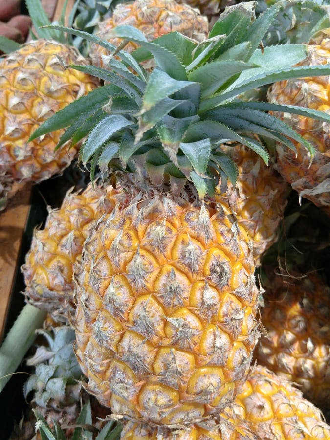 Heap of Pineapples at Floating Market. Stock Photo - Image of appetizer ...