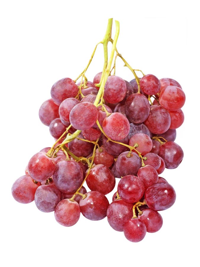 15,537 Pink Grape Photos - Free & Royalty-Free Stock Photos from Dreamstime