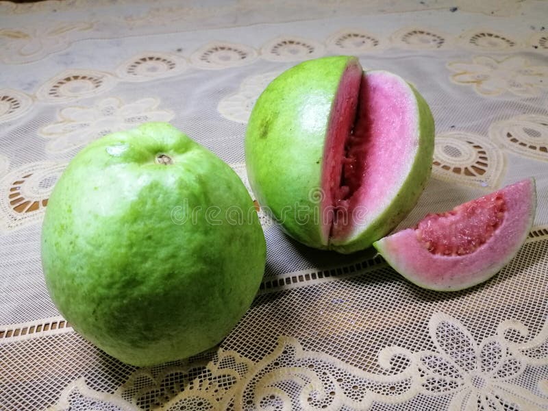 755 Pink Guava Fruit Ripe Tree Stock Photos - Free & Royalty-Free Stock ...
