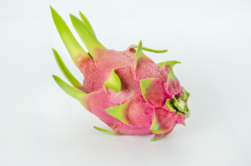 Fresh pink pitaya stock photo. Image of summer, fruit - 87606692
