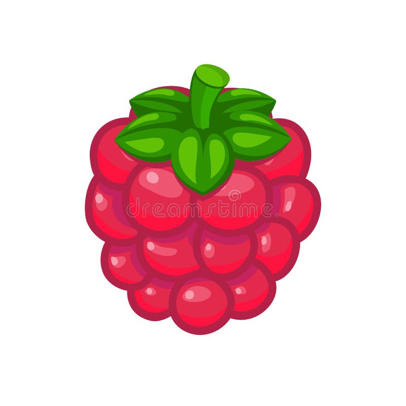 Fresh Pink Raspberry Berry Vector Icon for Food Art and Illustration ...