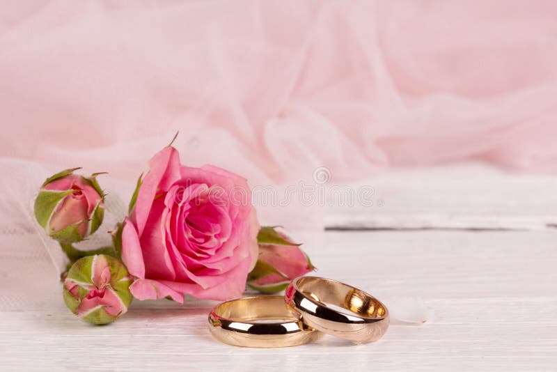 Fresh pink rose stock photo. Image of place, style, romance - 54720804
