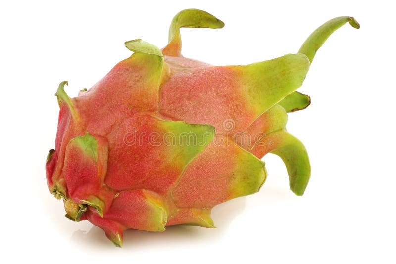 A Fresh Pitaya Fruit Photo stock photo. Image of fresh - 103843448