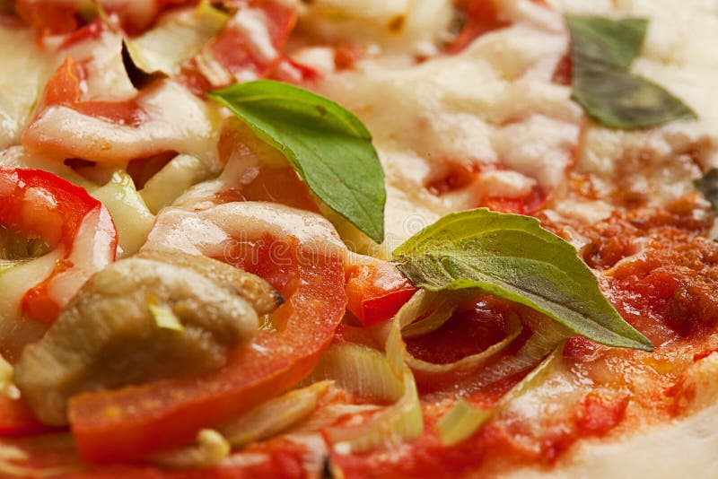 Fresh pizza stock photo. Image of mushroom, object, macro - 16994868