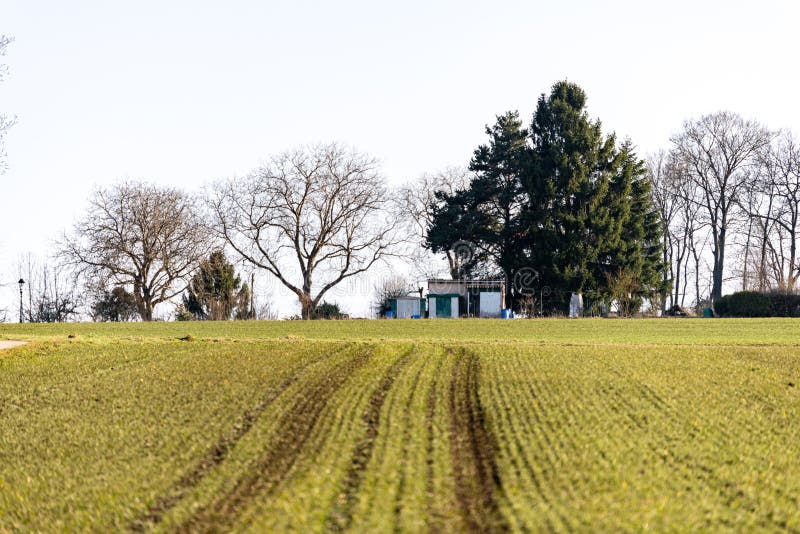 Fresh Planted Crops on an Agricultural Field Stock Image - Image of ...