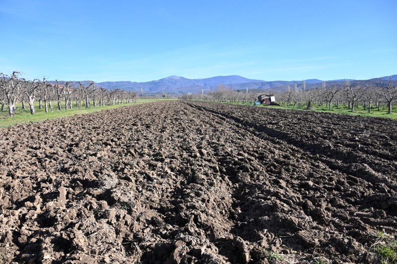 Fresh Plowed Field Ready for Seedling, Agriculture Theme Stock Image ...