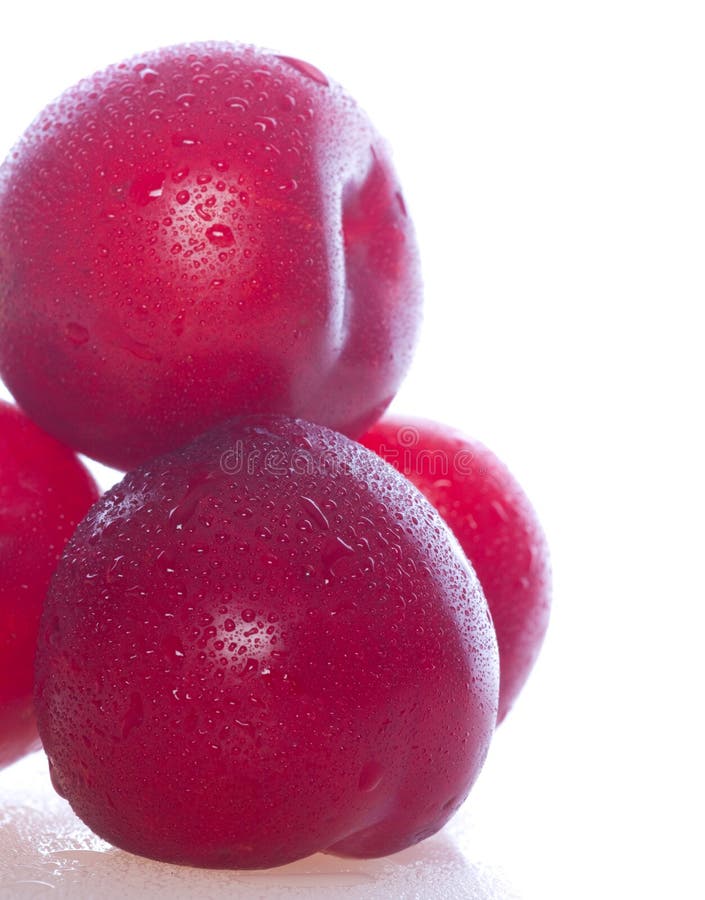 Fresh Plum stock photo. Image of ripe, cherry, healthy - 9610078
