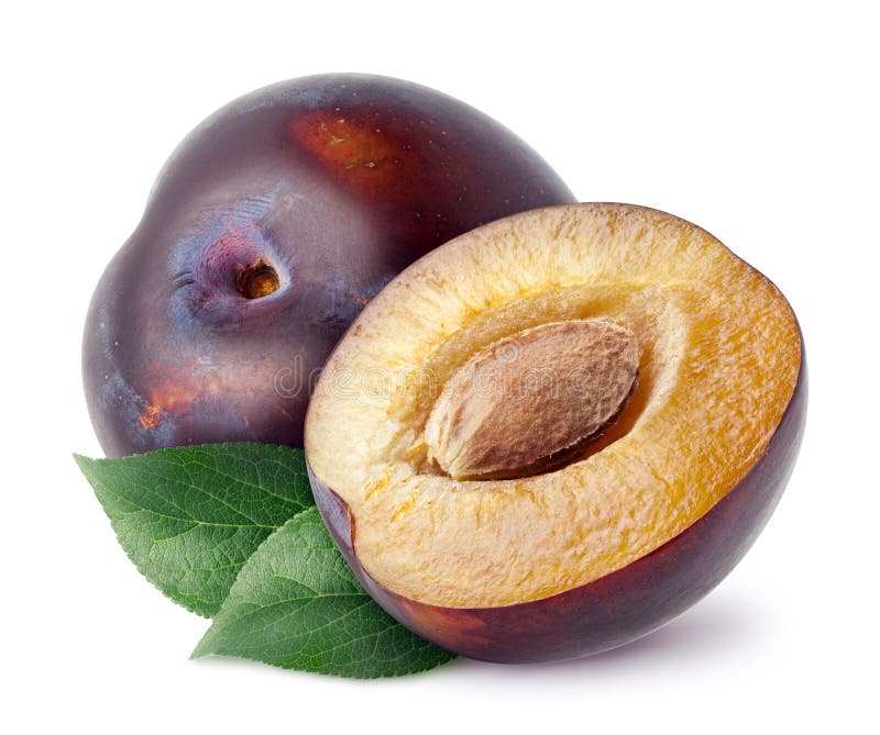 Isolated Plums. One and a Half of Blue Plum Fruit with Leaves Isolated ...