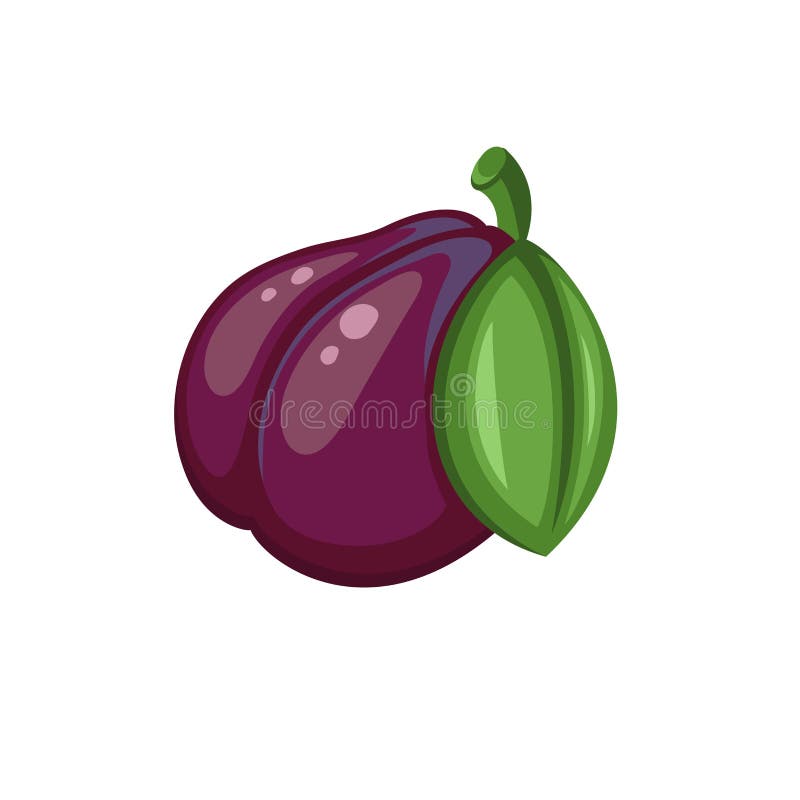 Fresh Plum with Green Leaf in Flat Vector Style Stock Vector ...