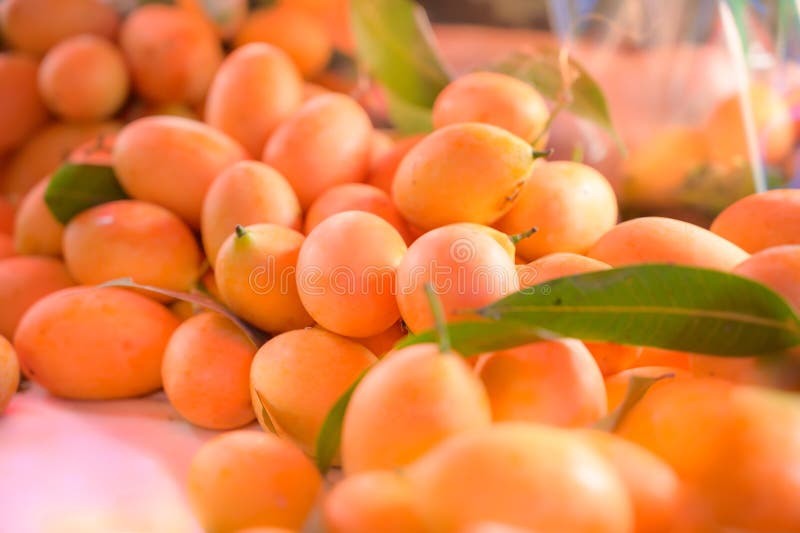 Fresh Plum Mango Fruit on the Stand at the Market Stock Image - Image ...