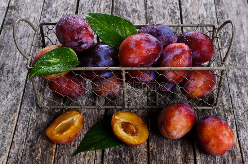 Fresh plum stock photo. Image of juicy, plum, fruit, healthy - 57533076