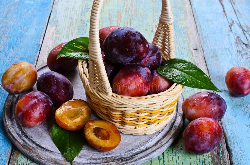 Fresh plum stock photo. Image of blue, drop, delicious - 57534102