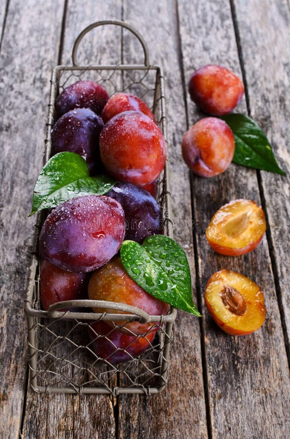 Fresh plum stock image. Image of autumn, drop, organic - 57538085
