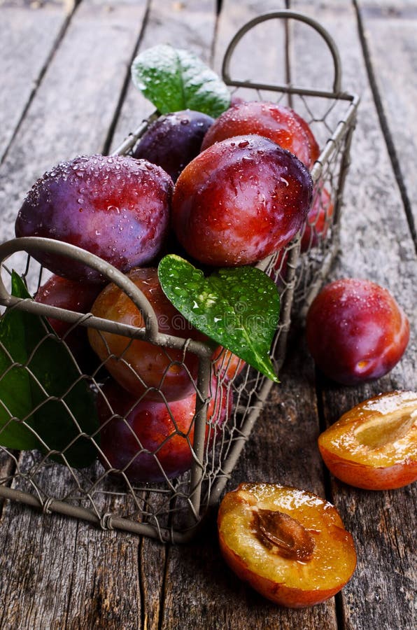 Fresh plum stock image. Image of autumn, drop, organic - 57538085