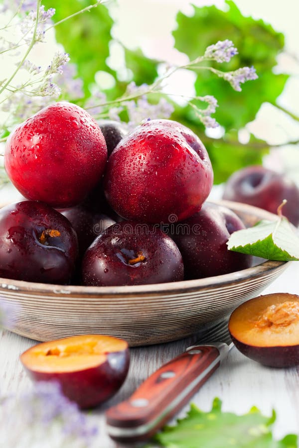 Fresh plums stock photo. Image of fruit, eating, life - 23931234