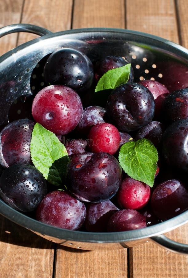 Fresh plums stock image. Image of ripe, focus, drop, healthy - 32298603