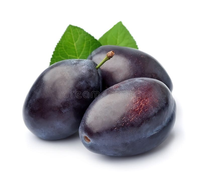 Fresh plums with leaves stock photo. Image of snack - 161282006